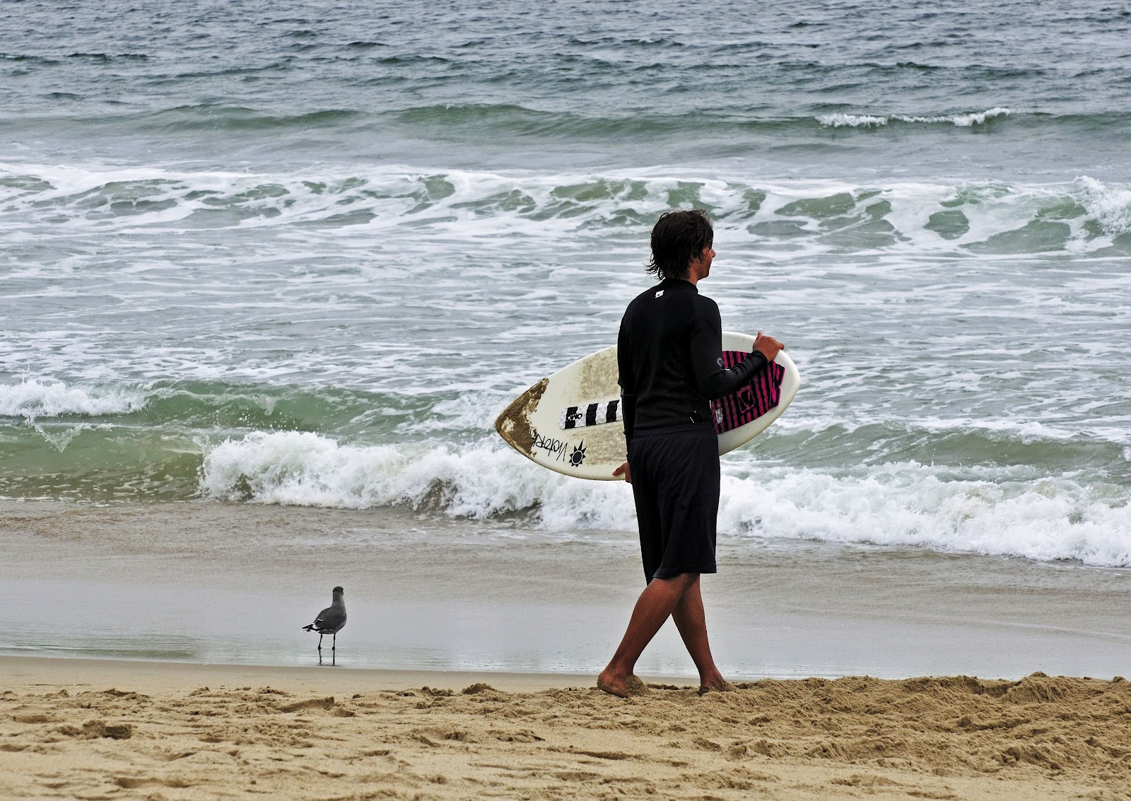 Barbara Rich Photography