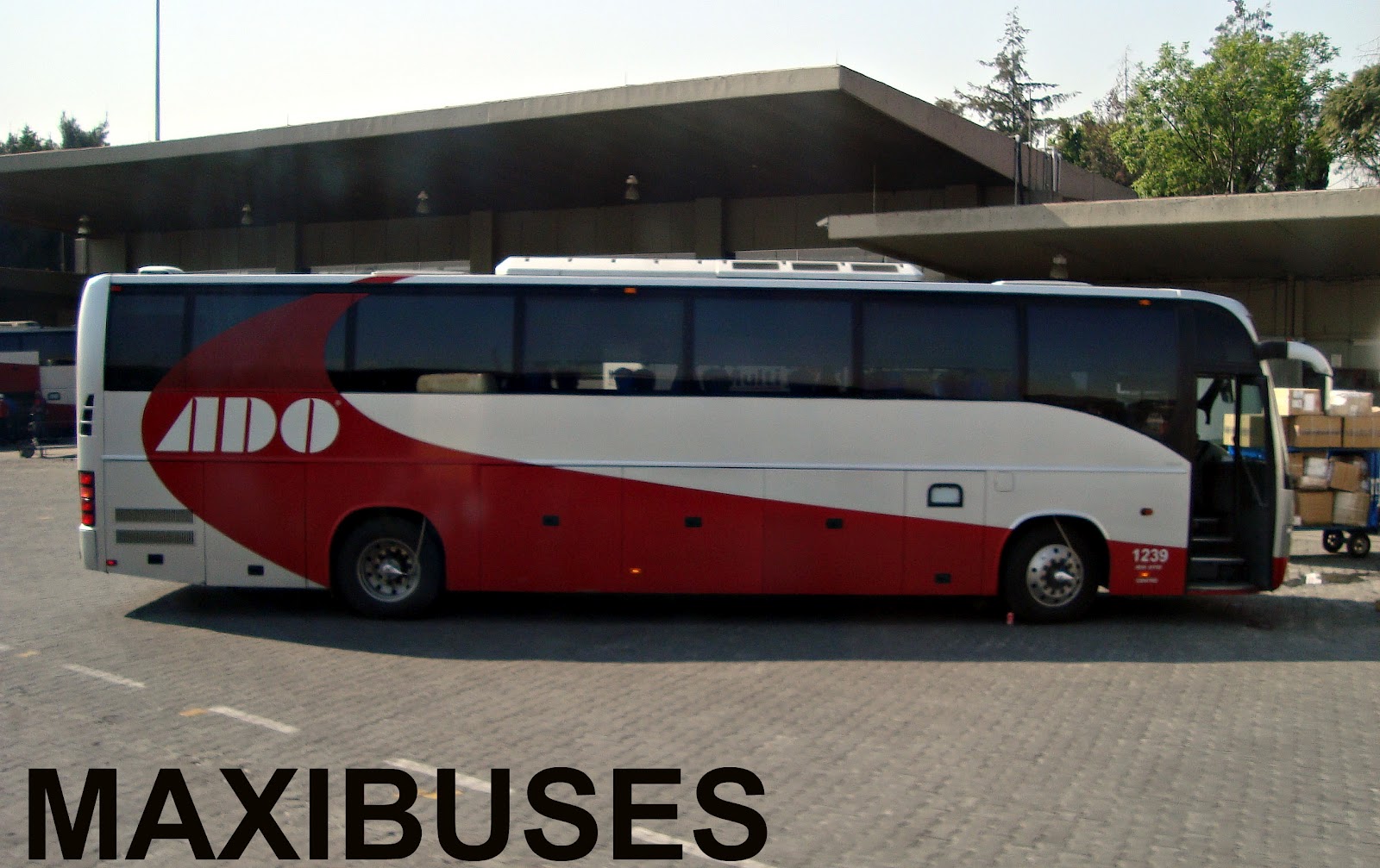 MAXIBUSES: AUTOBUSES DEL ORIENTE (ADO)