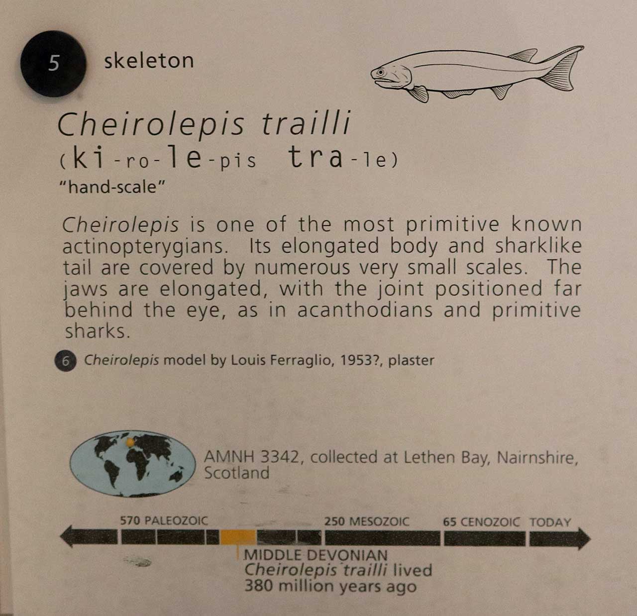 Louisville Fossils and Beyond: 2018