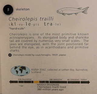 Louisville Fossils and Beyond: 2018