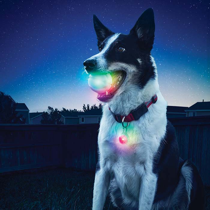 20 Christmas Gift Ideas For Your Dogs Australian Dog Lover 20-christmas-gift-ideas-for-your-dogs-australian-dog-lover