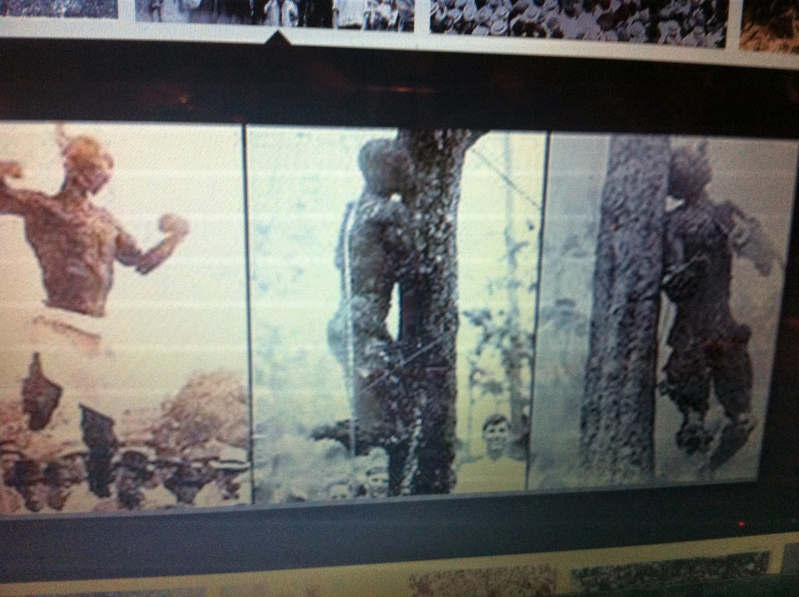 THE BLACK SOCIAL HISTORY:: BLACK SOCIAL HISTORY : THE LYNCHING OF JESSE ...