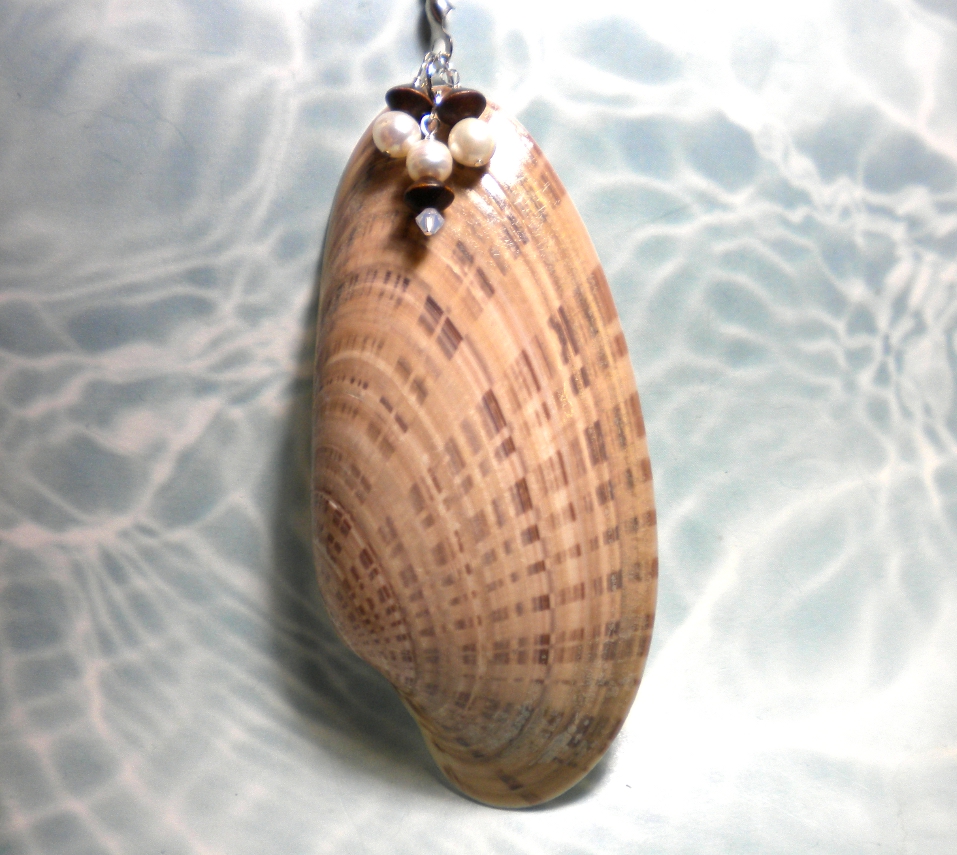Del's Shells: Coastal Home Decor