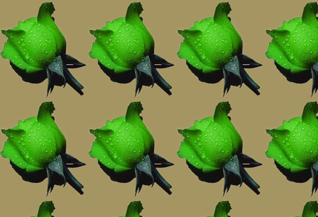 Green Rose flowers flowers