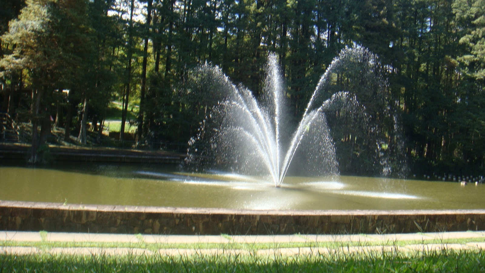Pé de Natureza: Sesc Interlagos - SP