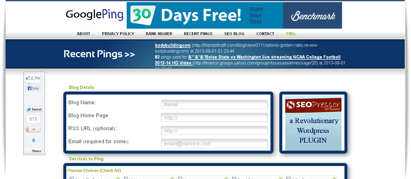 Pengertian Ping dan Cara Melakukan Ping Blog