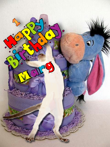 Nellie on the Edge: Happy Birthday Marg!