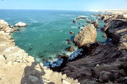 FotoCésarCox: Caleta de Quilca