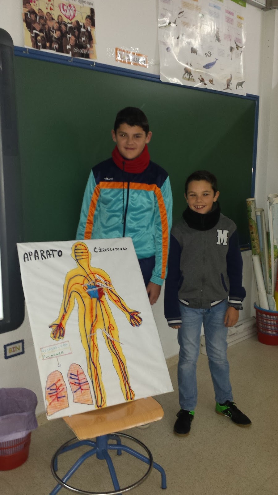 Los listillos de la clase: PROYECTOS DEL CUERPO HUMANO