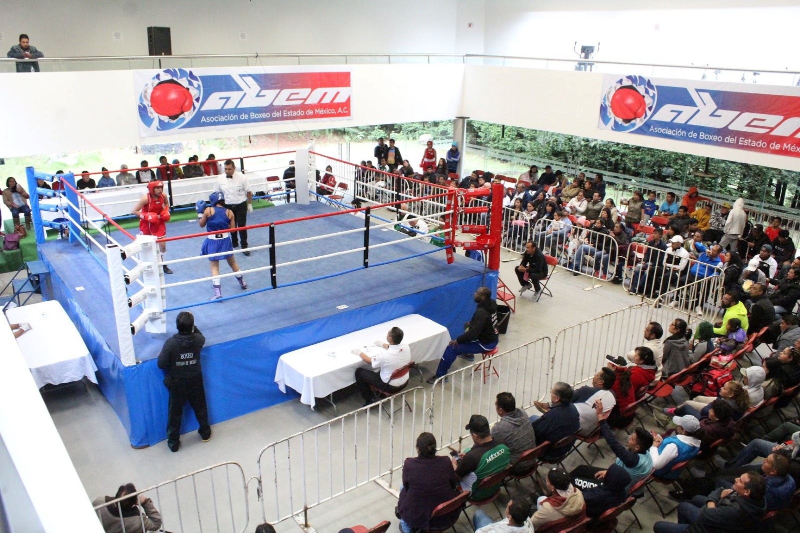 El mexiquense Hoy: Presentan buen nivel boxeadores mexiquenses que se ...