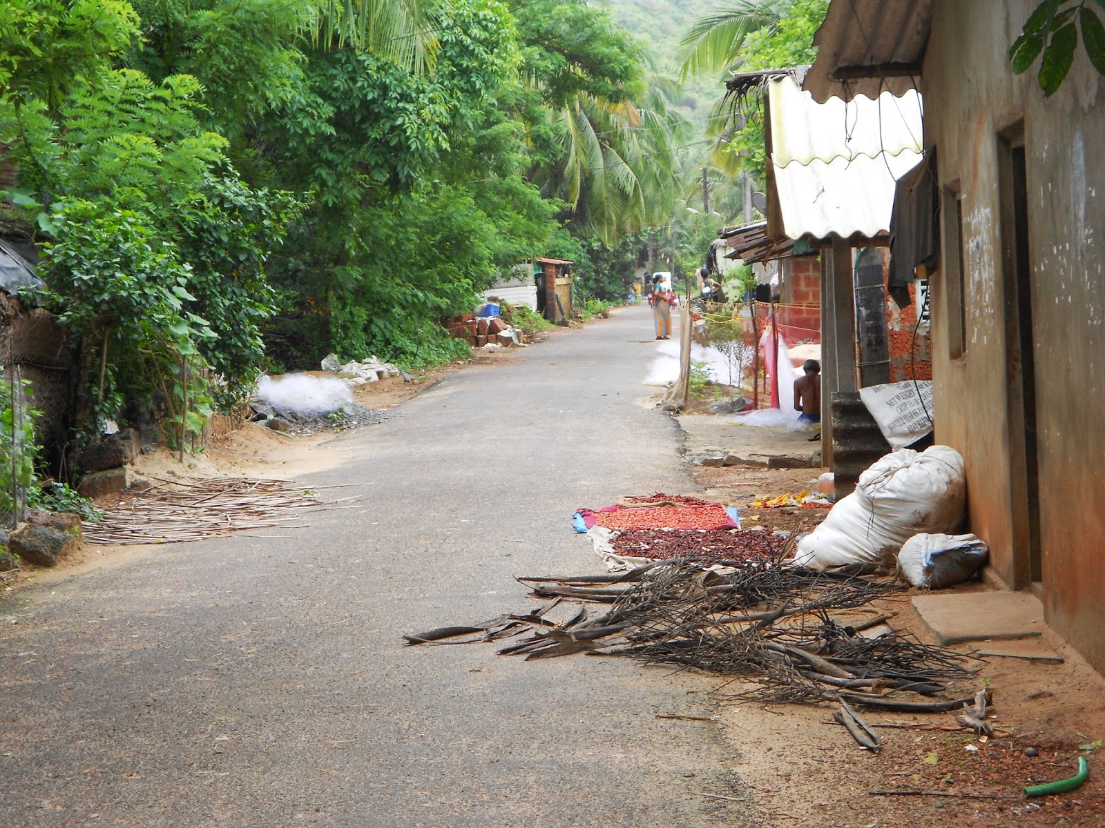 Travel and food tales: Nivati fishing village