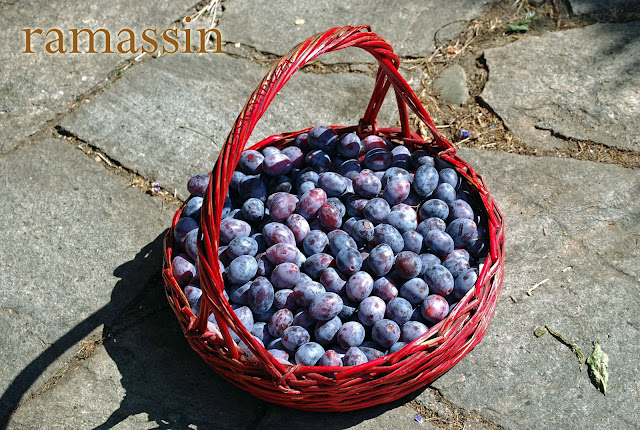 lasagnapazza: CONFETTURA DI RAMASSIN