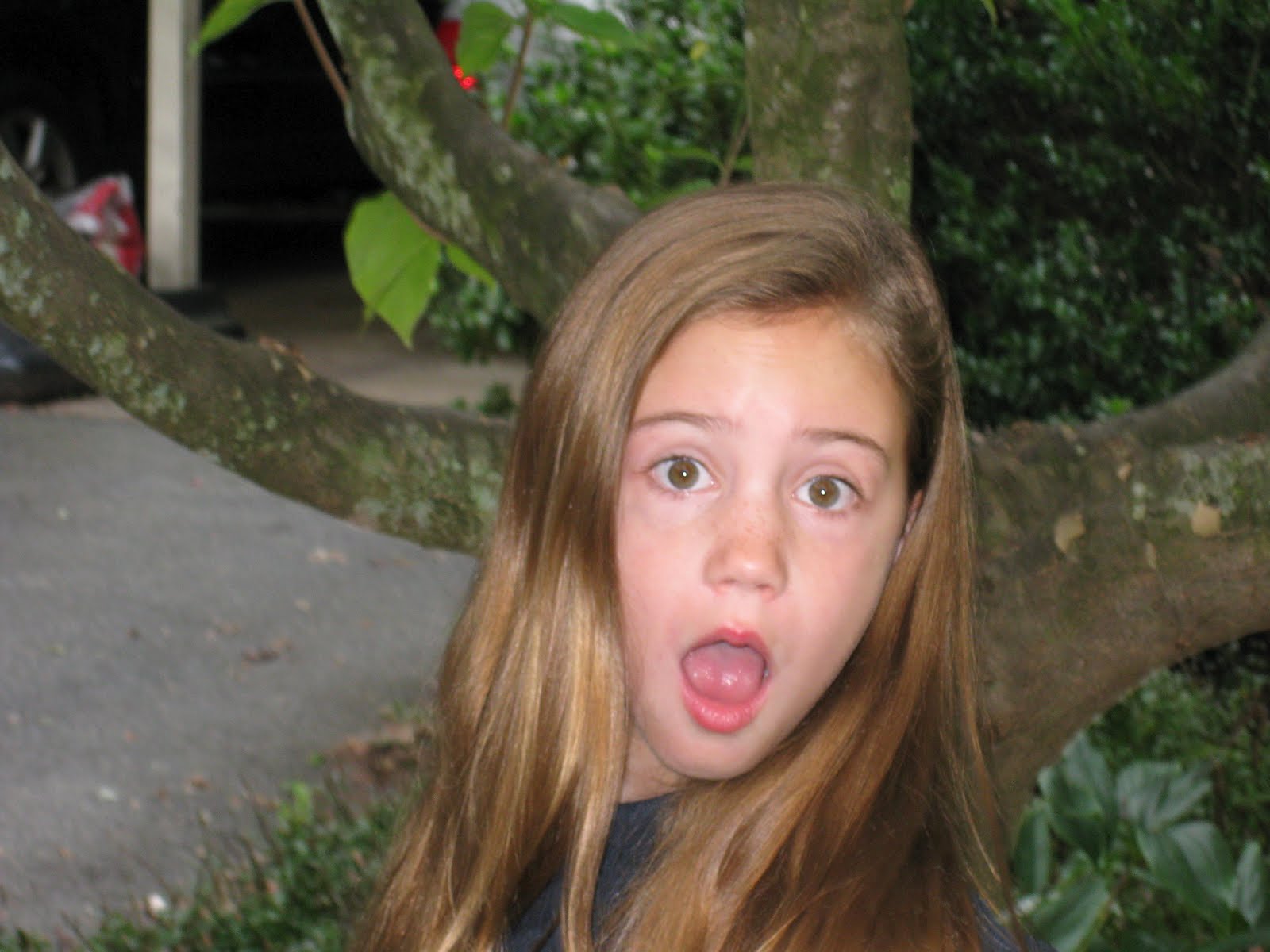 An Inch of Gray: Who Has 2 Thumbs and Is Going to Have a Great Year in ...