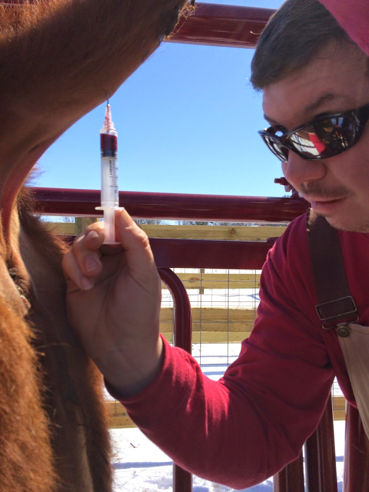 Tri-Star Stock Farm: BioPRYN blood pregnancy test
