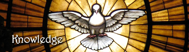 My Glimpses of Heaven with Divine Guidance: The Spirit of Knowledge