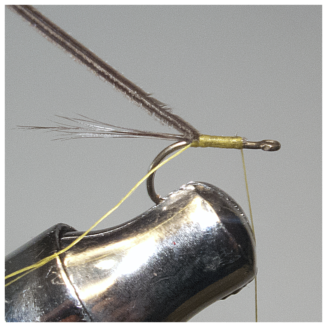 Dry Fly 'Expert': Iron Blue Dun...