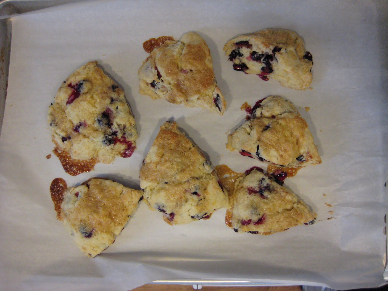 americanina: Scone-a-rama