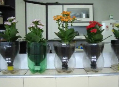 Reciclando garrafas pet