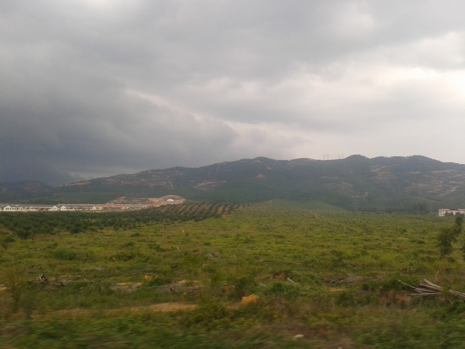 Keadilan Jempol: Hutan Simpan Kekal Jeram Padang Selatan Gondol