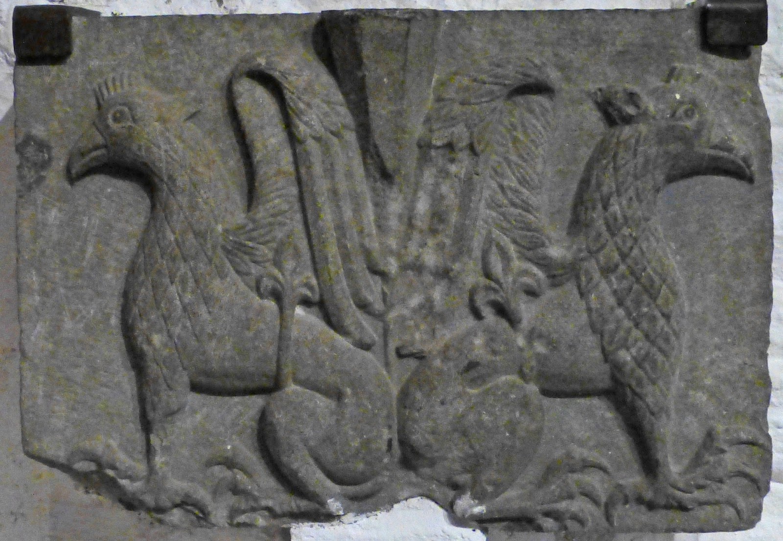 Black and White: Celtic Beasts