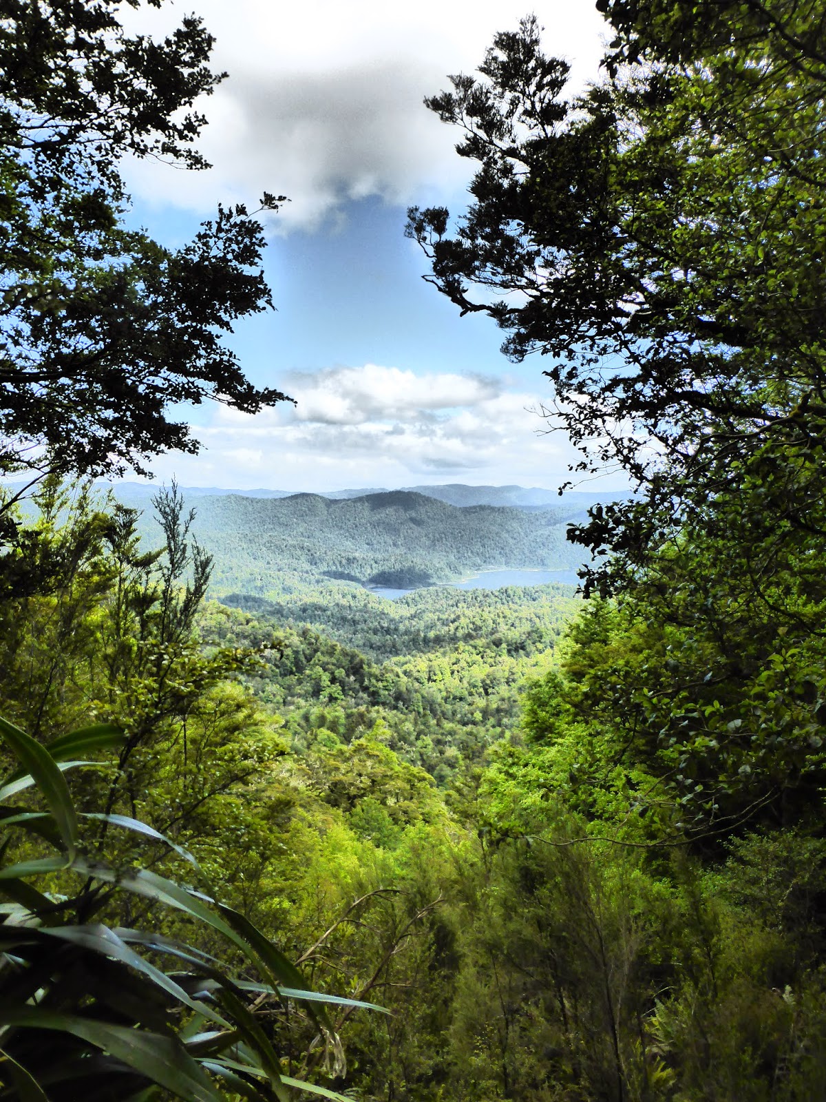 Skiperoo the Culture Vulture