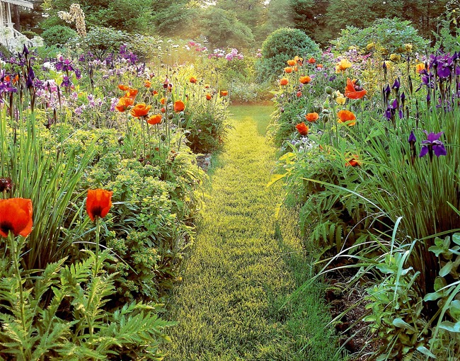 MARTHA MOMENTS: 10 Lessons From Martha's Turkey Hill Gardens