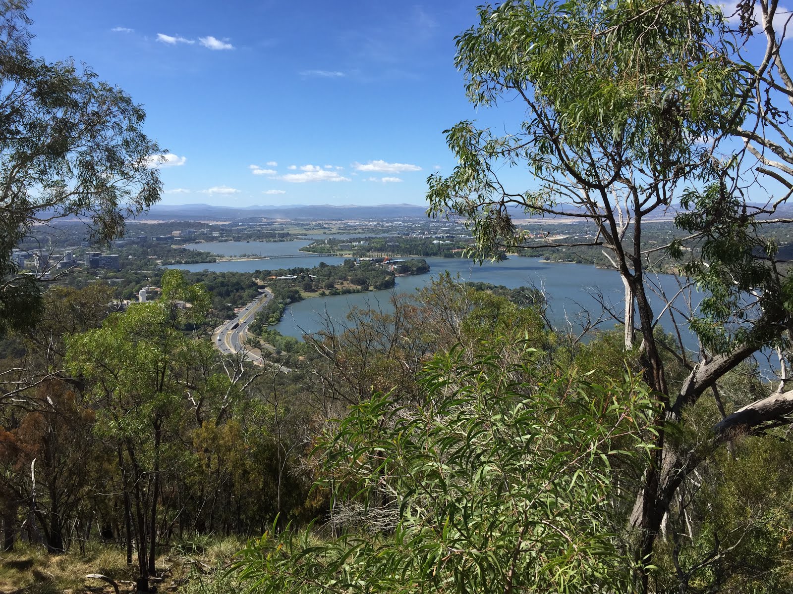 Phil's Bushwalking Blog: Canberra Nature Park: Aranda Bushland and ...