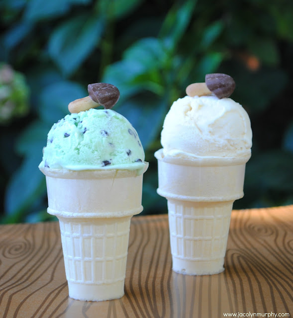 Jac o' lyn Murphy: Mushroom Ice Cream