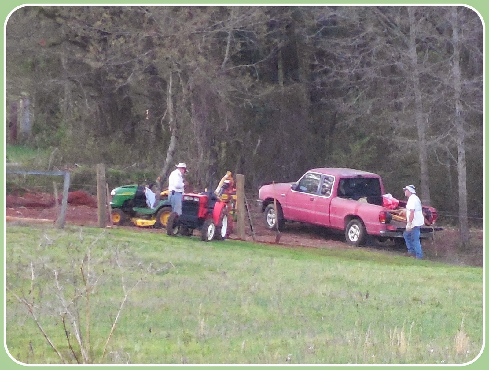 Wit's End Farm: NEW!