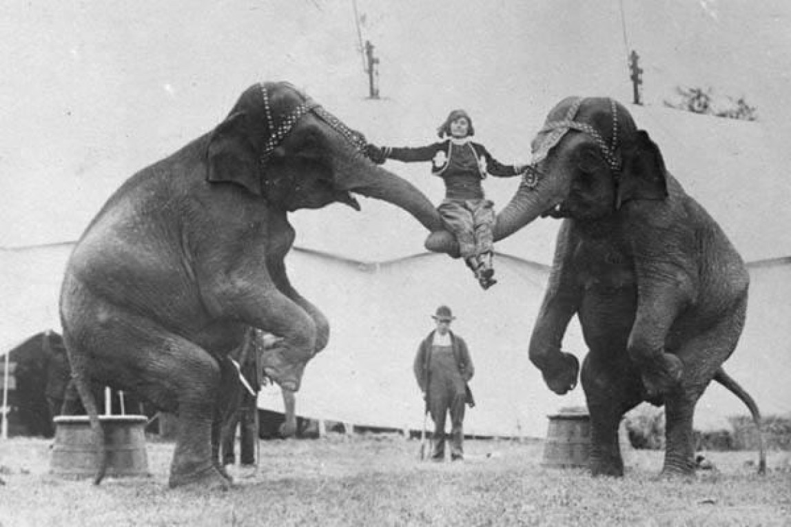 49 Vintage Photos Showing How Circuses Have Changed Significantly Over ...