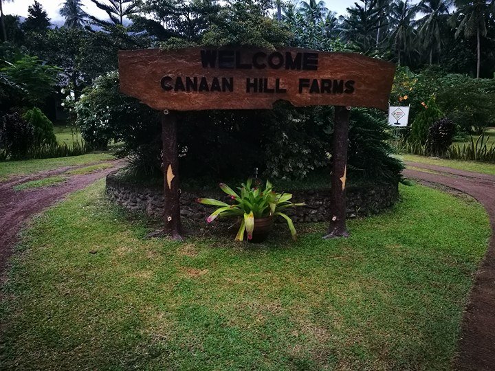 Lemon GreenTea: My OA Farm Tour 2: Canaan Hill Farms and Honey Garden