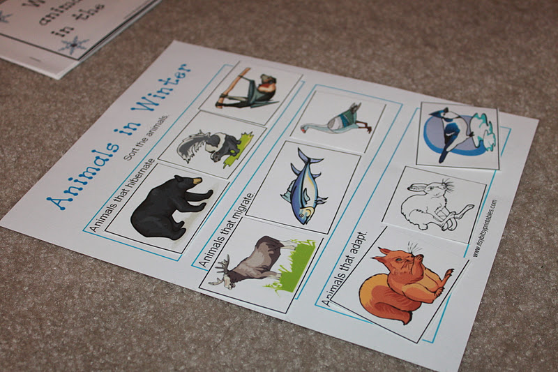 Miller Academy: Animals in Winter