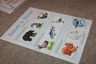 Miller Academy: Animals in Winter