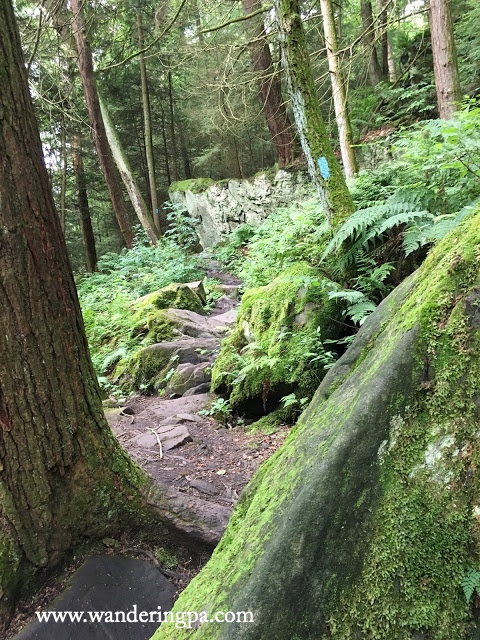 Wandering PA: McConnells Mill State Park - Kildoo Trail