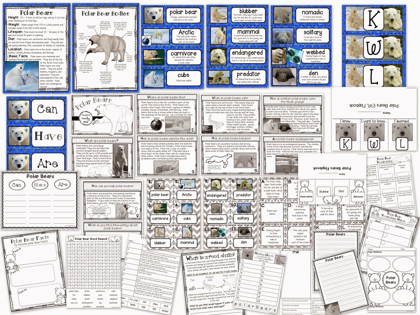 A Traveled Teacher: Polar Bears