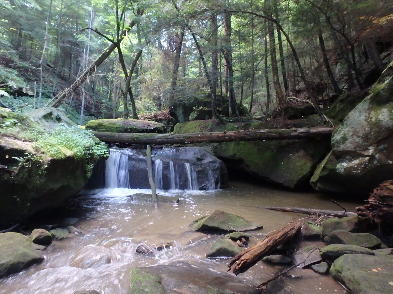 Anthony Joseph Pagley Jr. : My local trout stream.