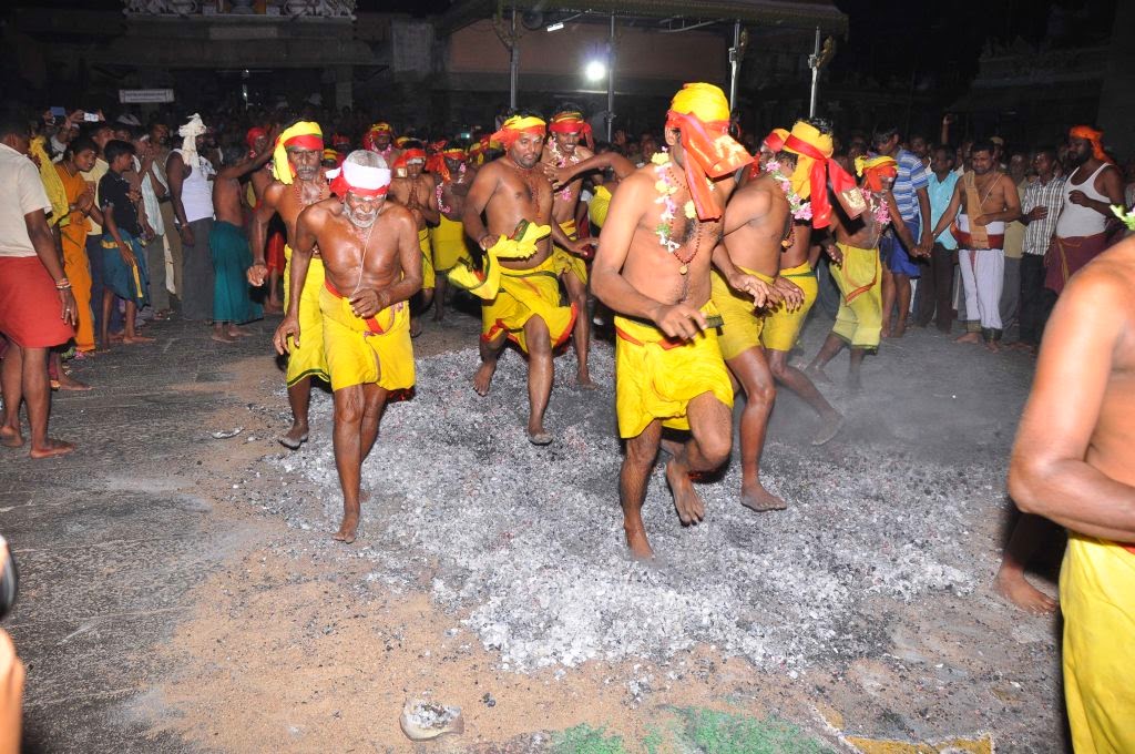 2014 Fire Walking at Arunachala - ARUNACHALA GRACE