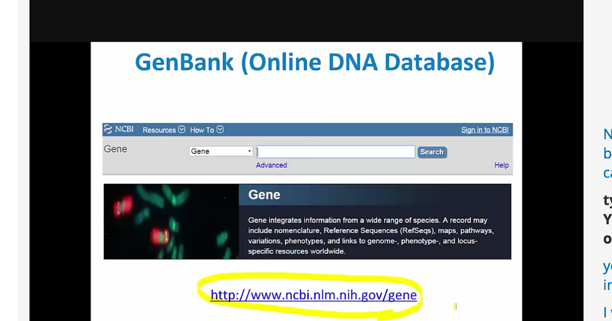 guvenmathbio: gene bank