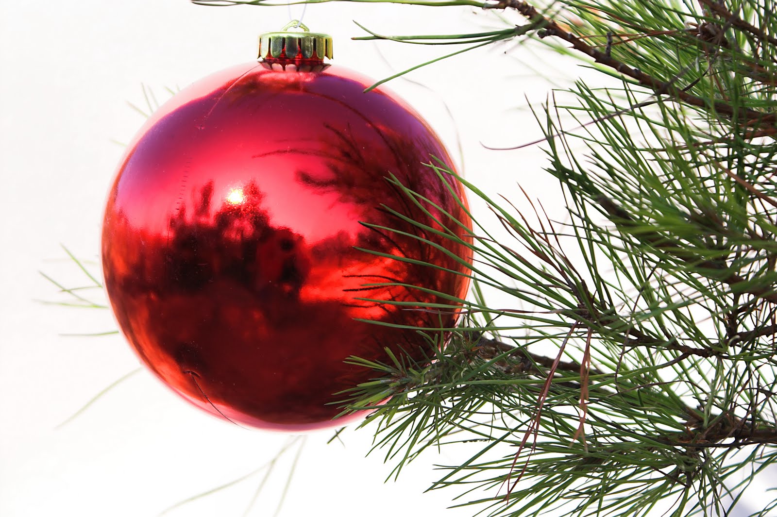 Christmas Wallpapers | X-mas Backgrounds -Animated Screensavers | Xmas