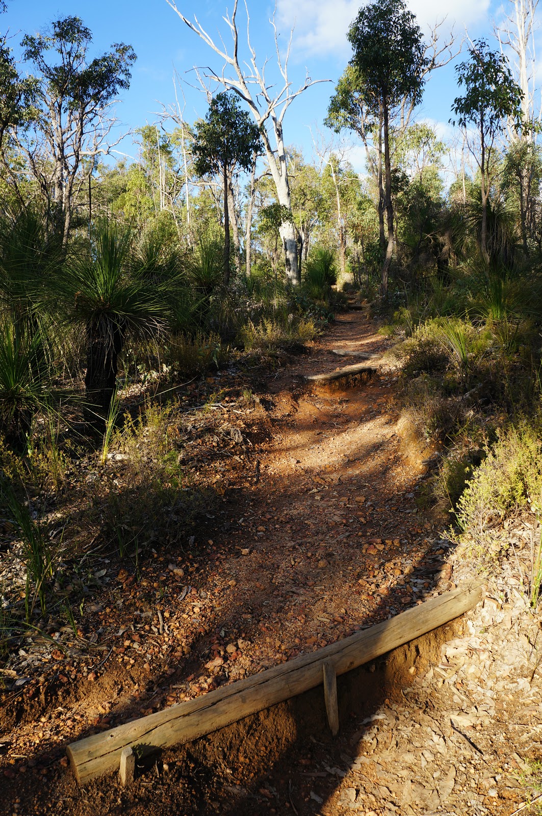 The Dell to South Ledge (Beelu National Park) ~ The Long Way's Better