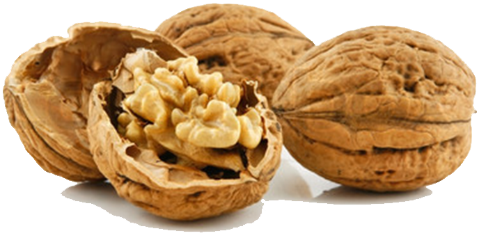 ® Gifs y Fondos Paz enla Tormenta ®: NUECES