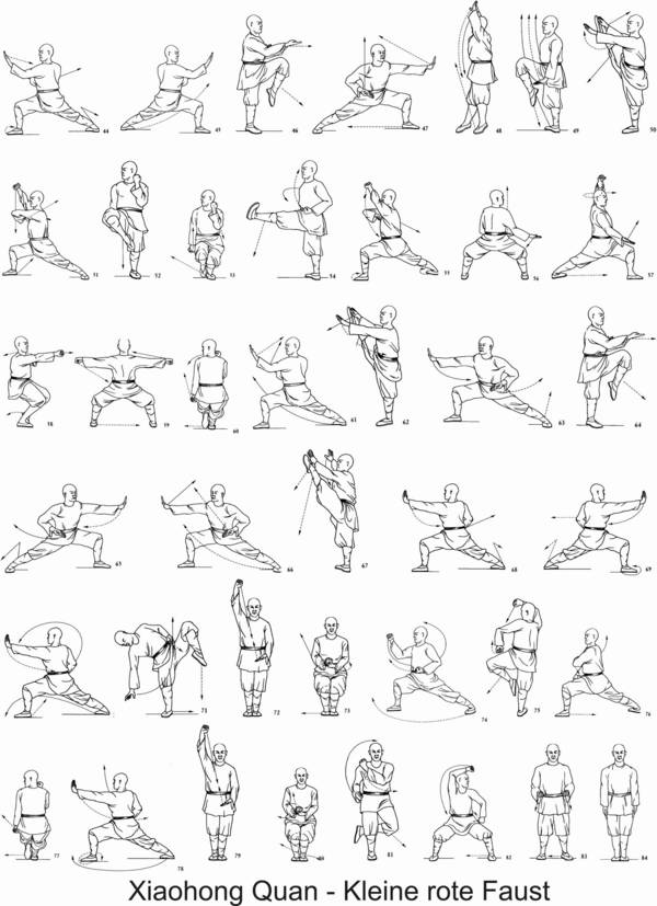 Ada's Blog about Chinese Culture: Three Shaolin Quan named after ...