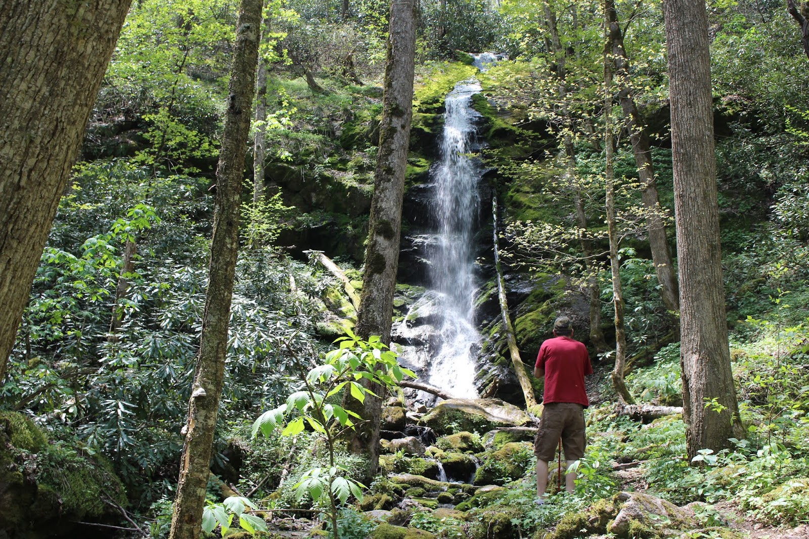 Cumberland Gal: Max Patch and Wolf Creek Falls
