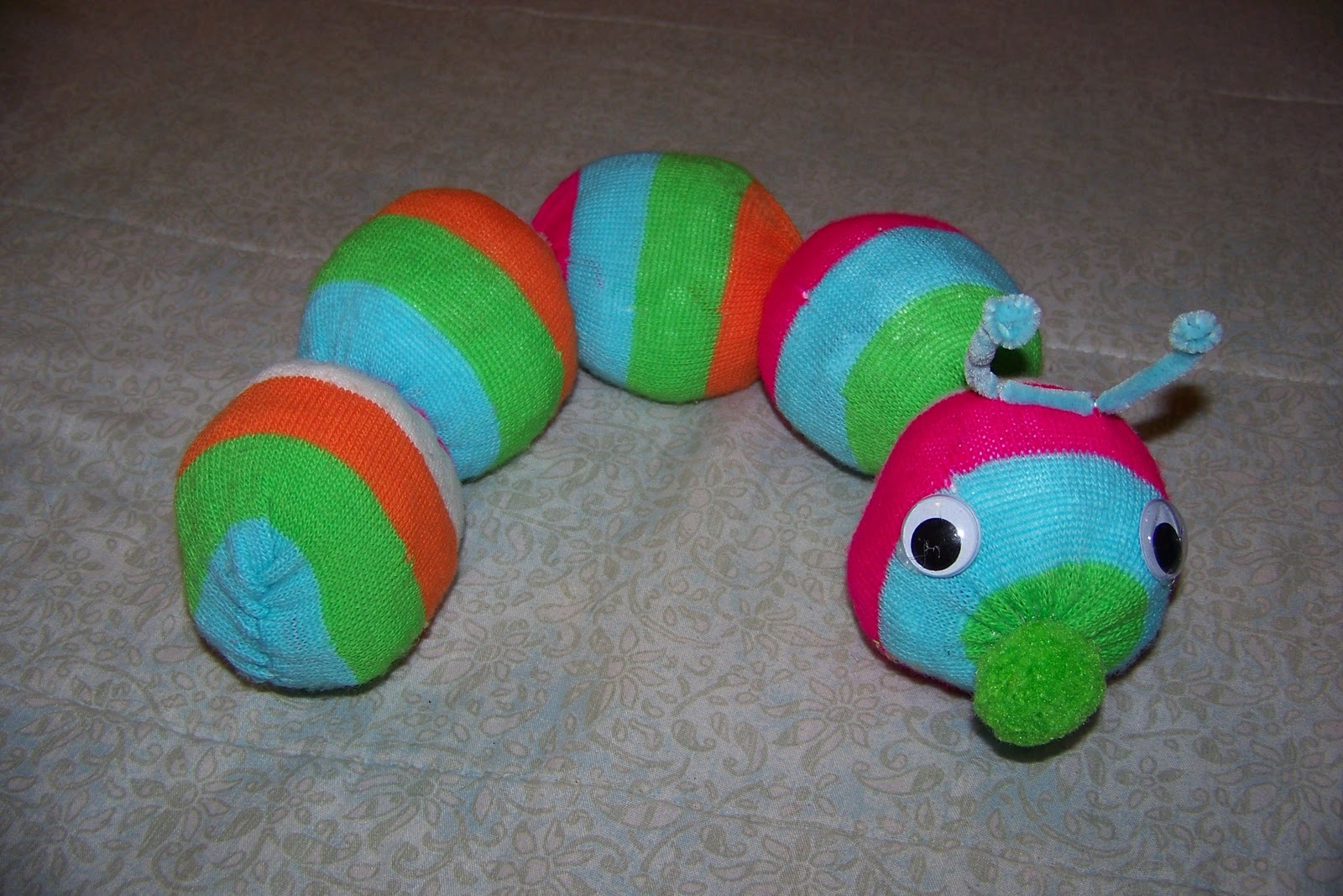 Bienvendidos: gusanito