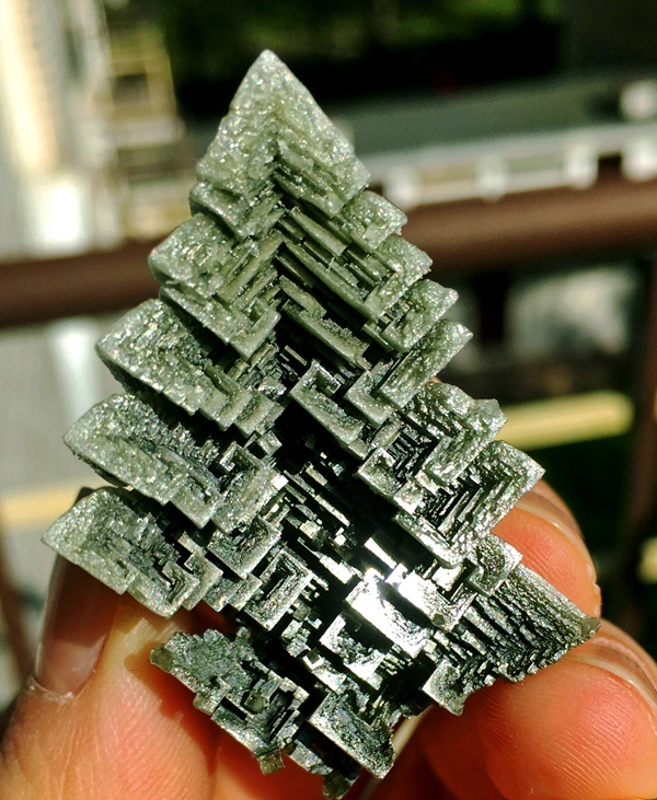 Skeletal Halites Crystals - Geology In