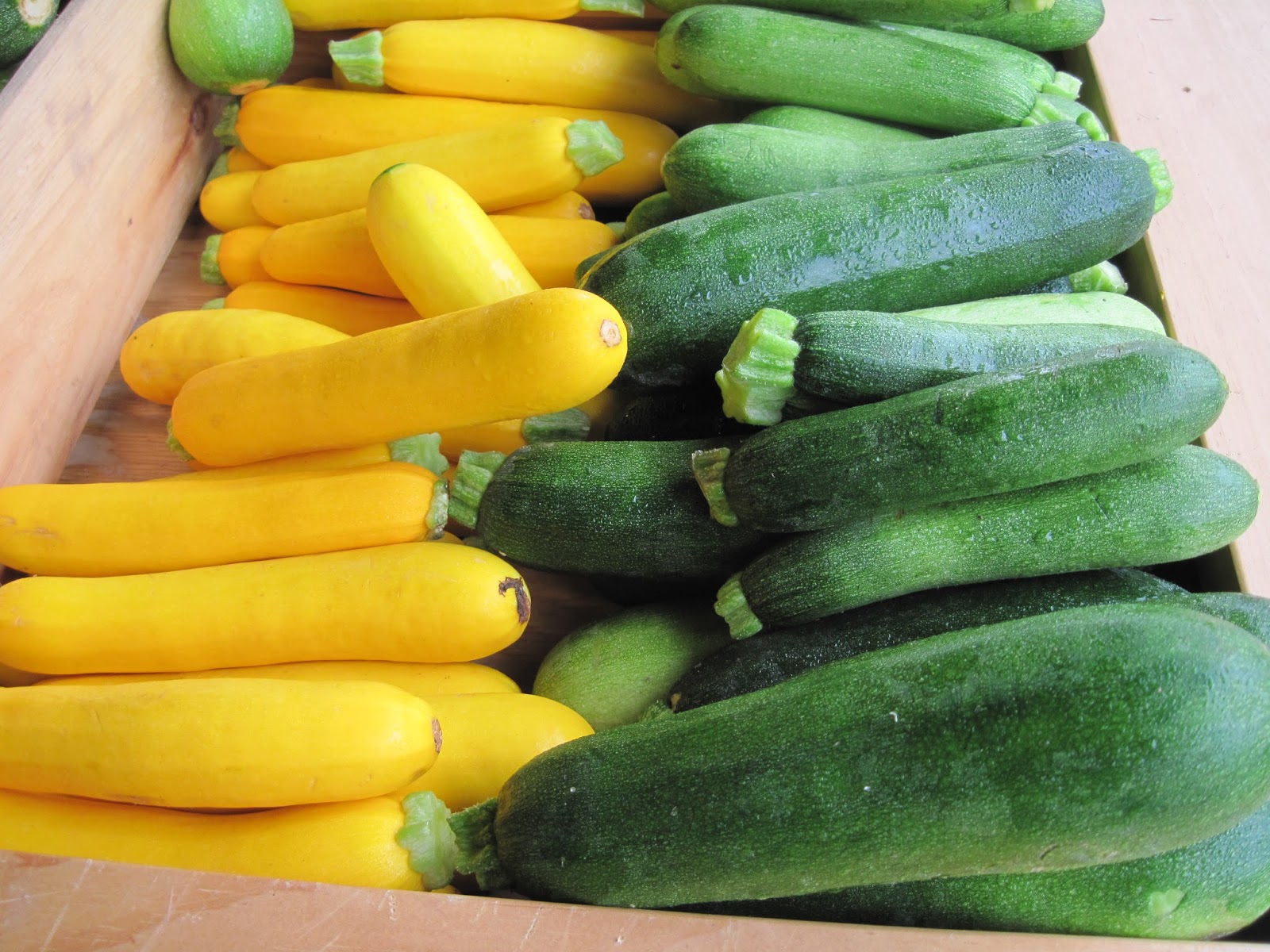 VARJACOM KROZ SVET: ZUKINI