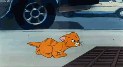 Oliver And Company Oliver Gif
