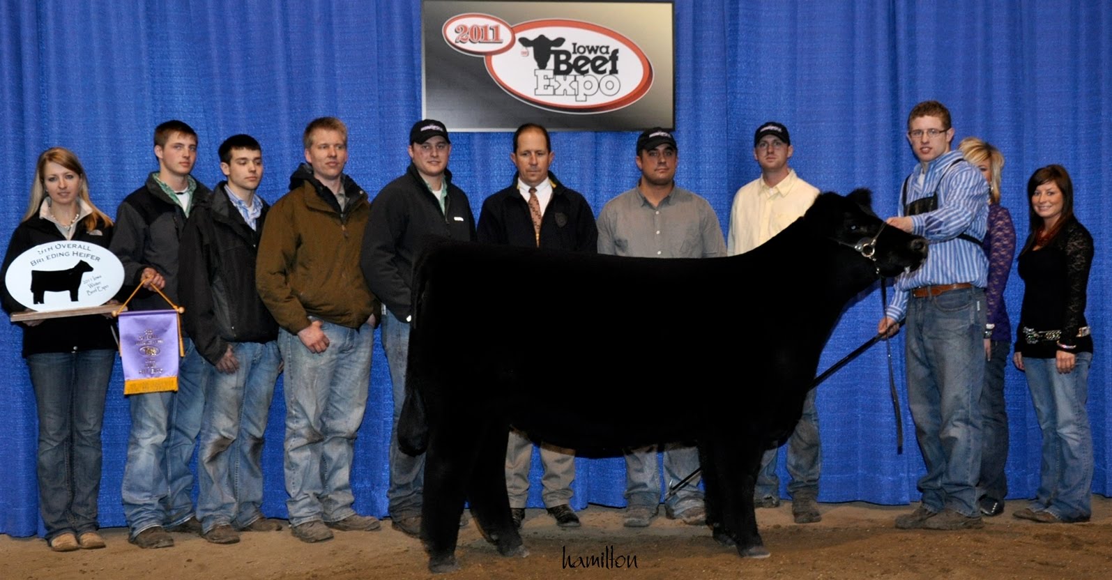 5th Overall Breeding Heifer 2011 Iowa Beef Expo | Matt Lautner Cattle