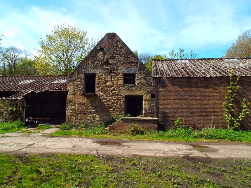 Photographs Of Newcastle: Woolsington Hall
