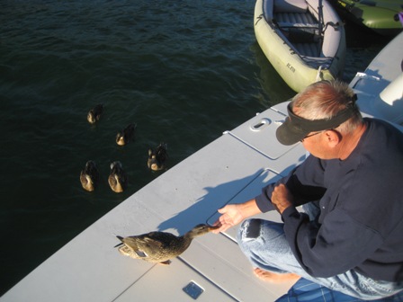 Cruises and Crews: Killarney to the Benjamin Islands via Baie Fine and ...